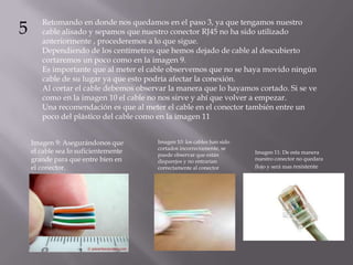 Cable utp directo | PPTX | Computer Peripherals | Computing