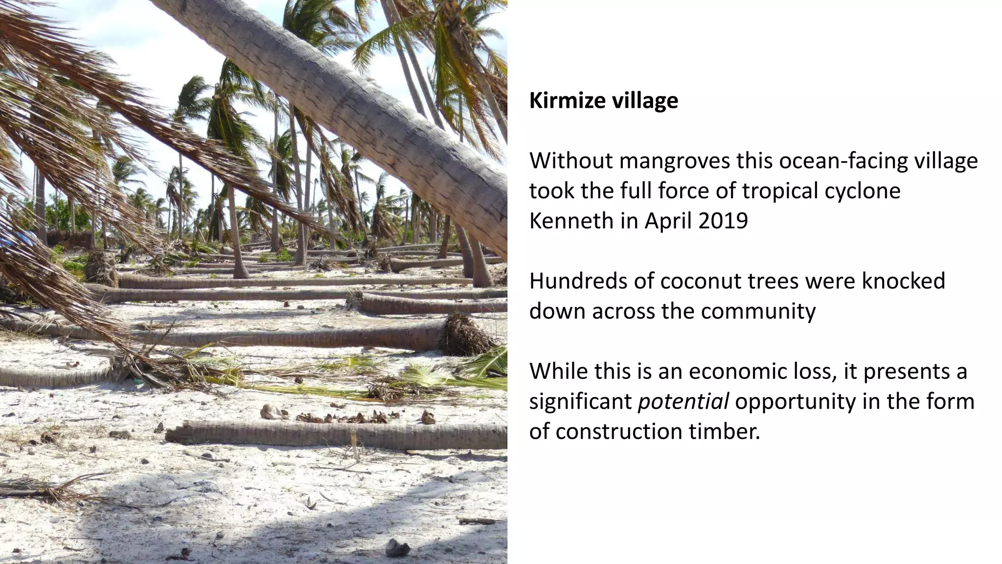 Cabo delgado Ibo islands and Mucojo | PPTX