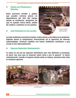 Cabras | PDF