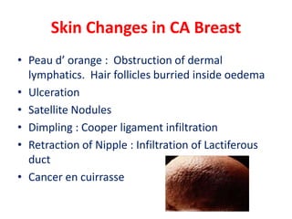 Ca breast ug lecture ajay khanna department of surgery. ims, bhu ...