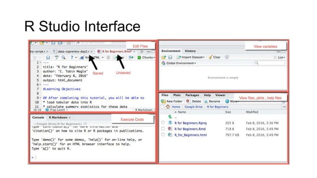 Coding and Cookies: R basics | PPT