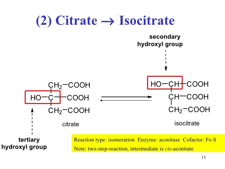 Citrate To Isocitrate Mechanism