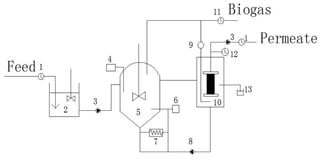AnMBR | PDF