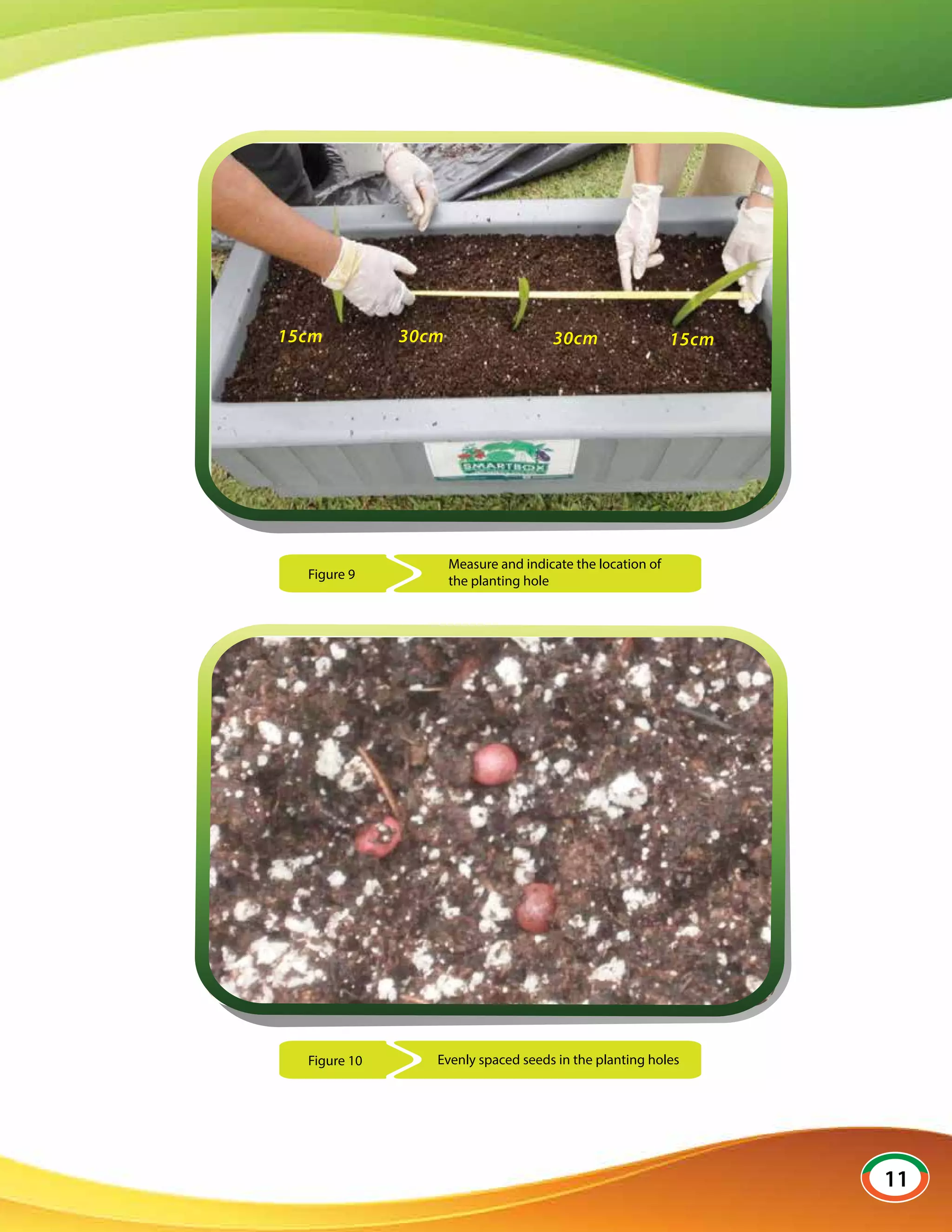 CAC Agricultural Science Teacher's Manual | PDF