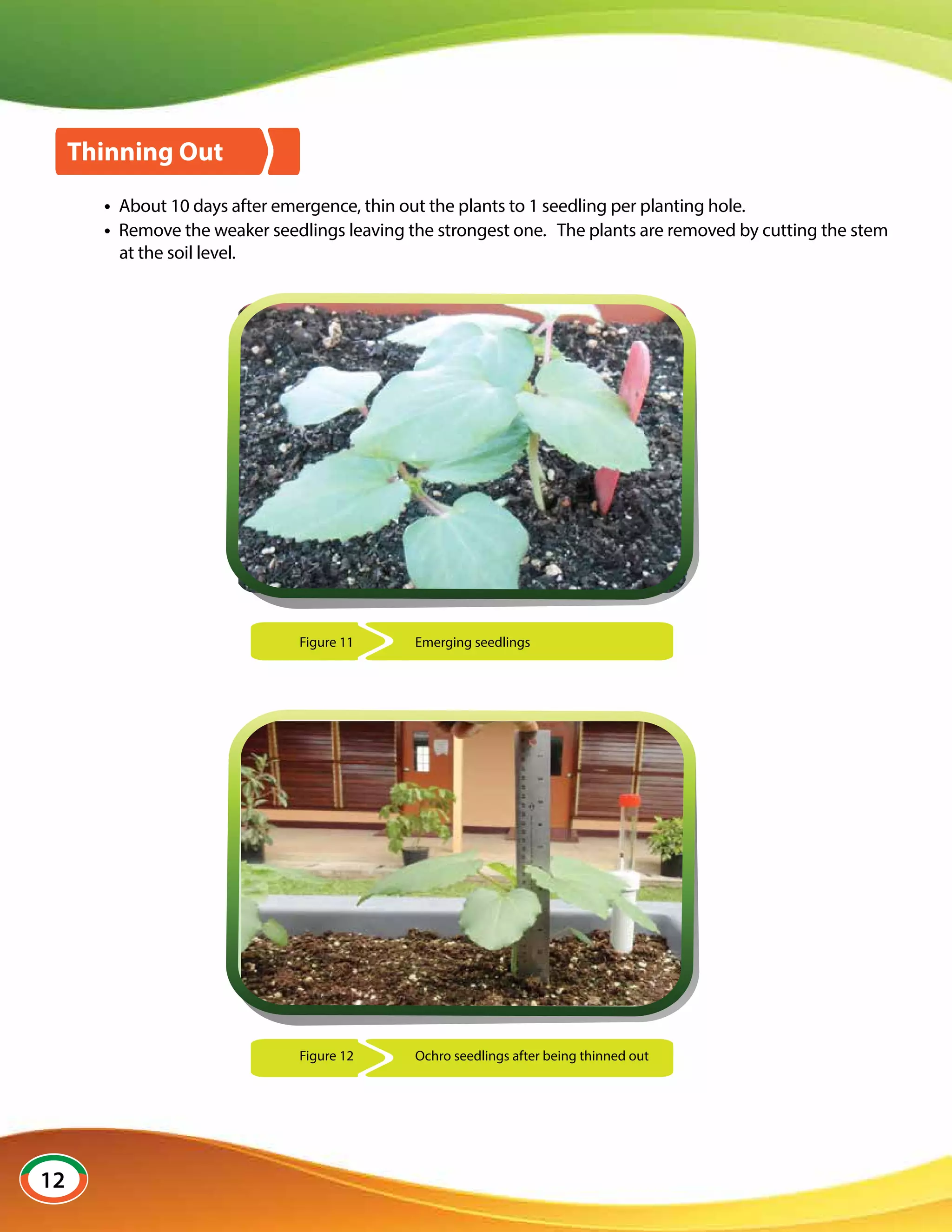 CAC Agricultural Science Teacher's Manual | PDF