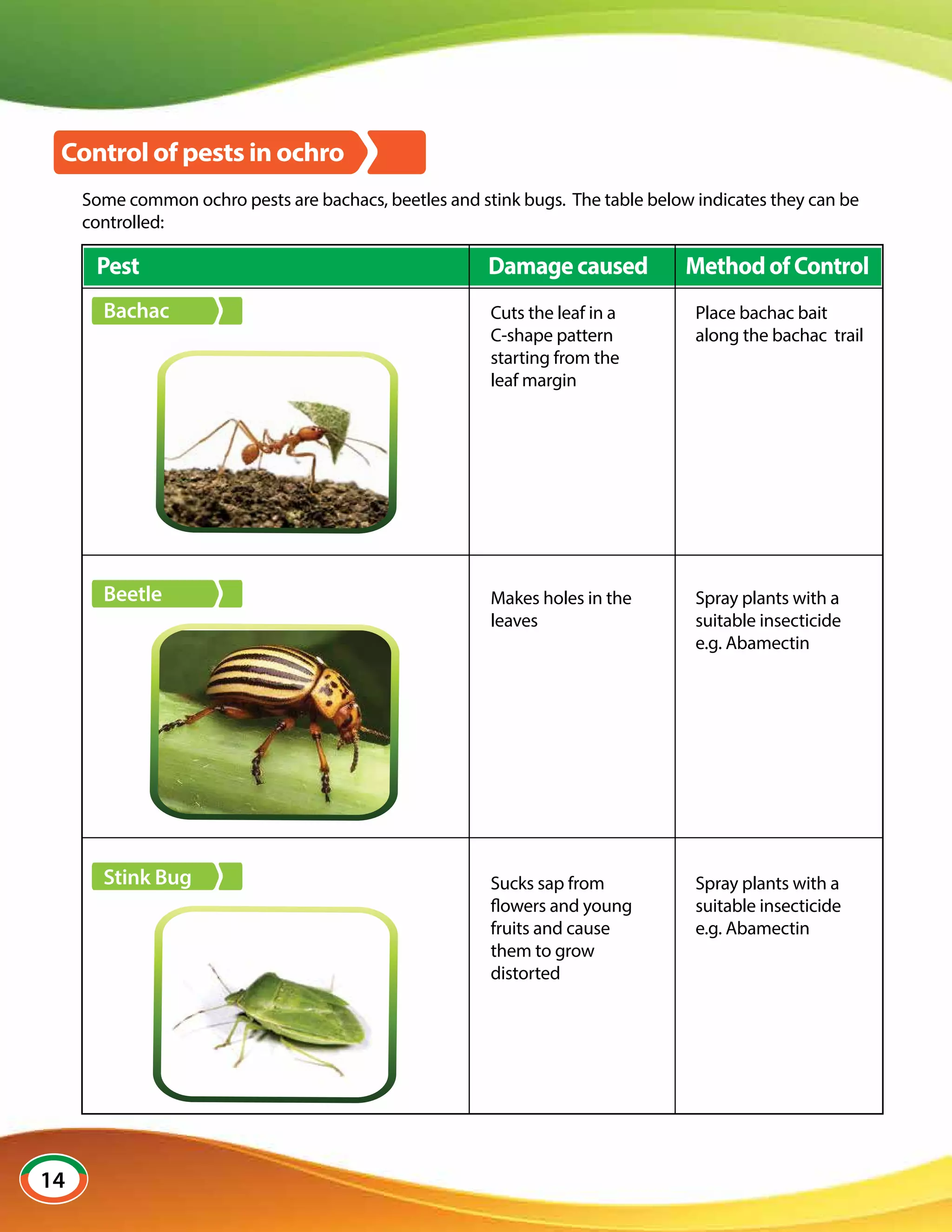 CAC Agricultural Science Teacher's Manual | PDF