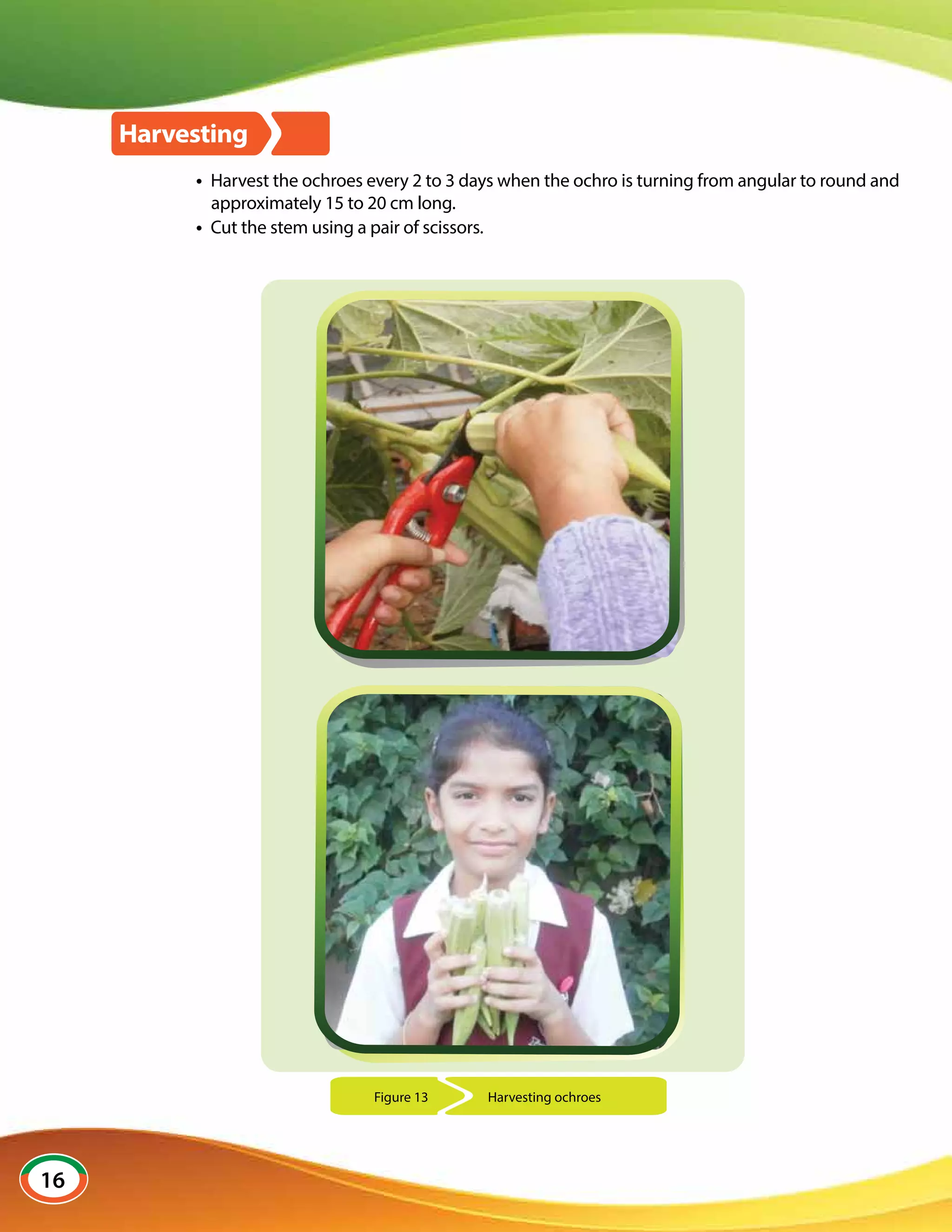 CAC Agricultural Science Teacher's Manual | PDF