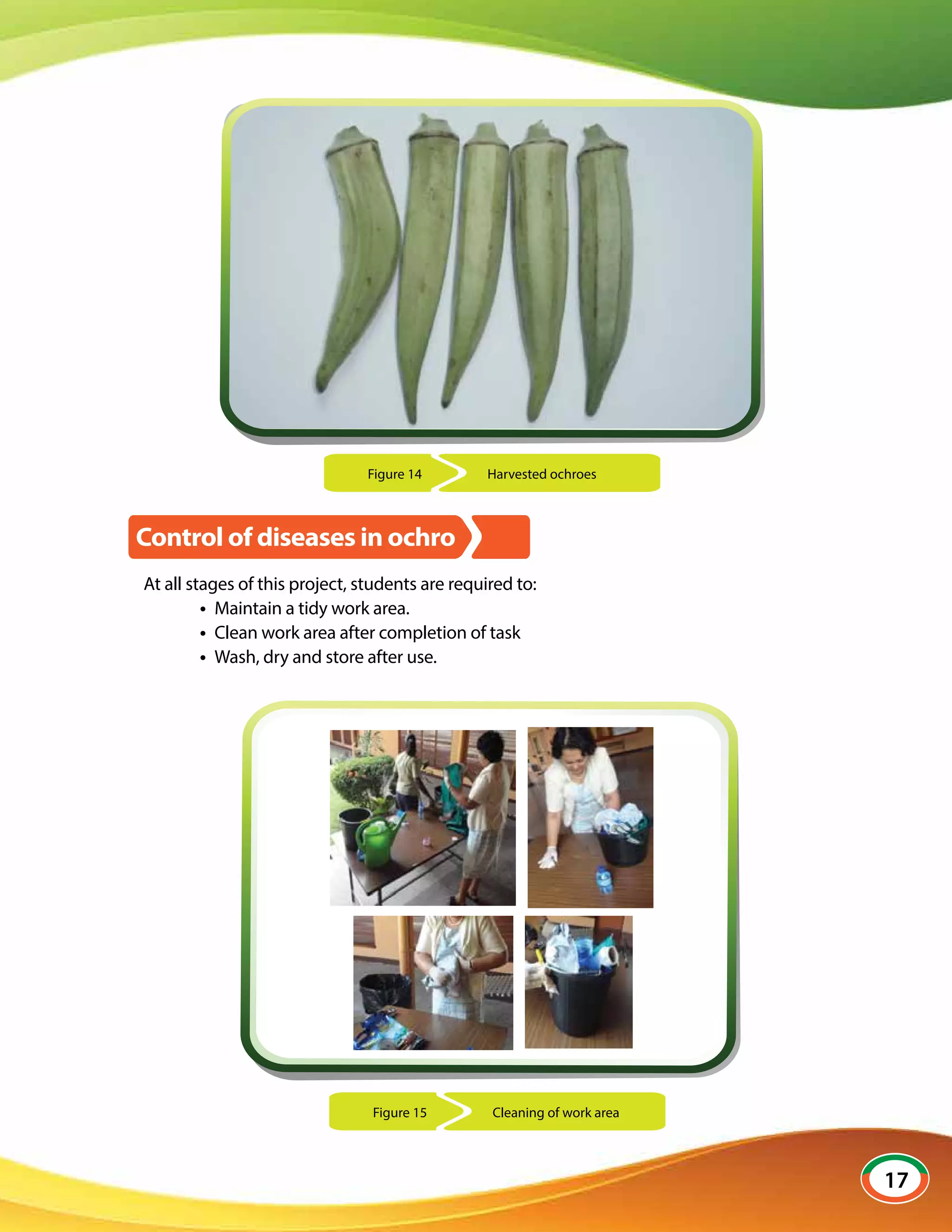 CAC Agricultural Science Teacher's Manual | PDF