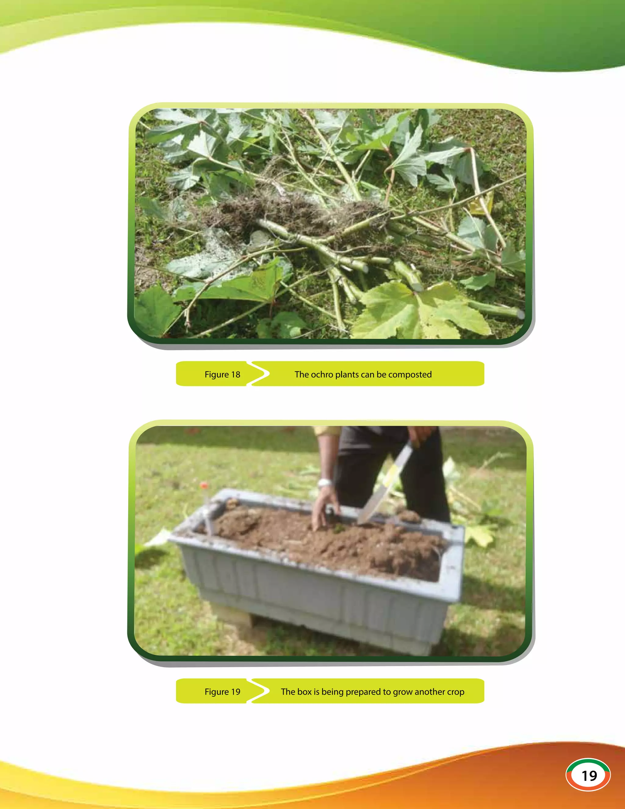 CAC Agricultural Science Teacher's Manual | PDF