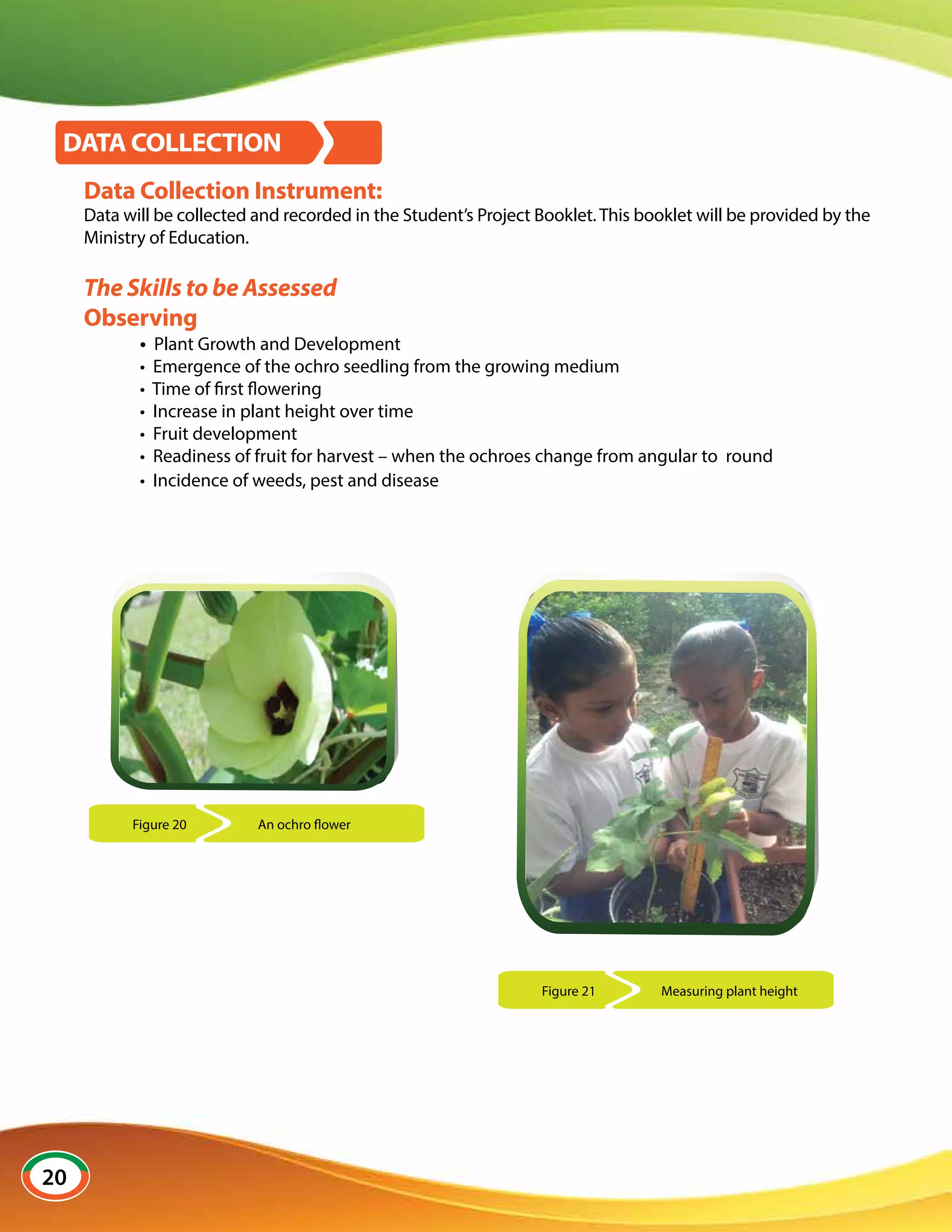 CAC Agricultural Science Teacher's Manual | PDF