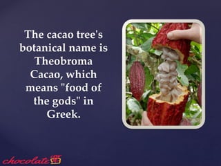 Briefly Know About The Cacao Tree | PPT