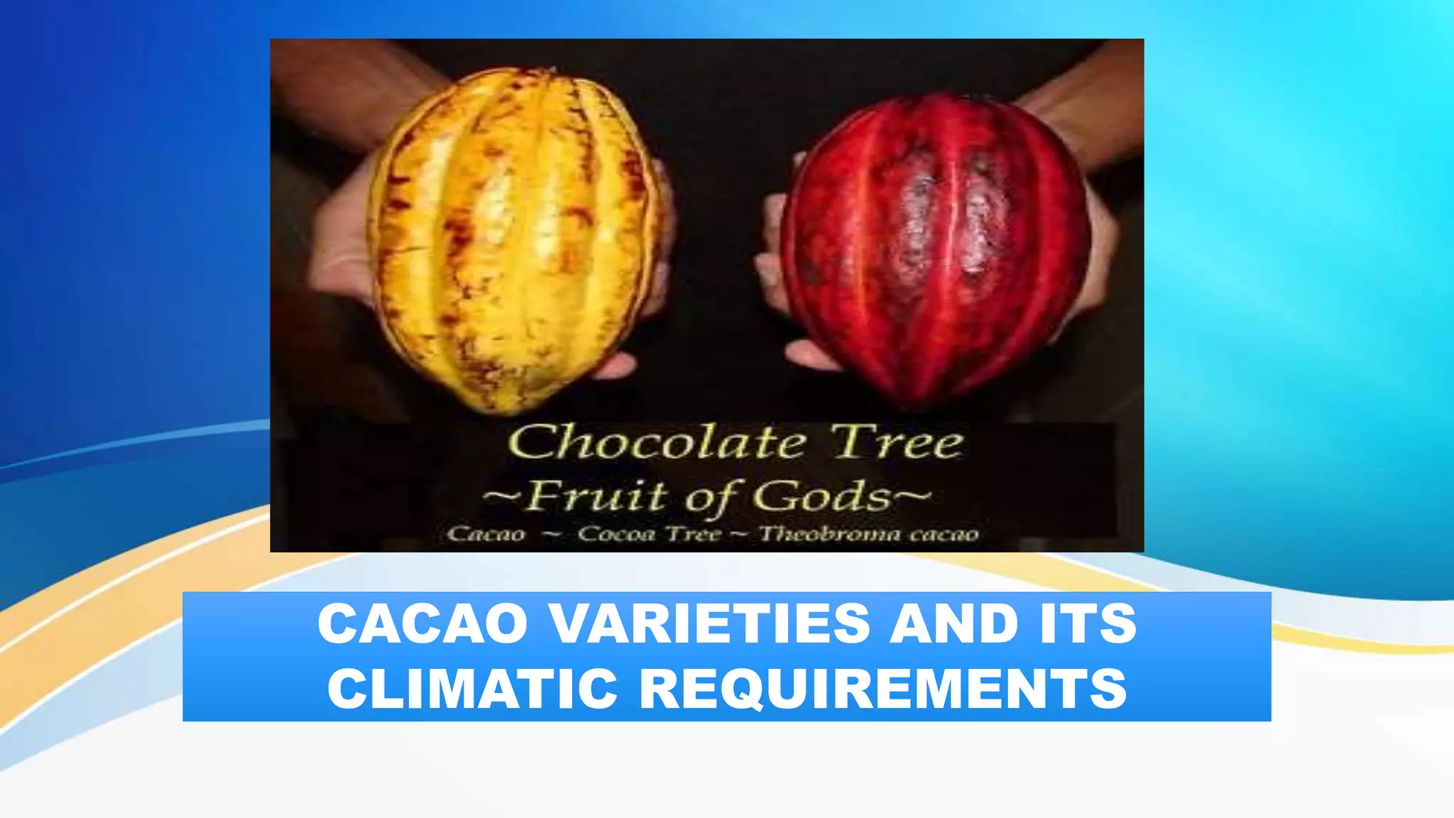 Cacao varieties and its climatic requirements | PPTX