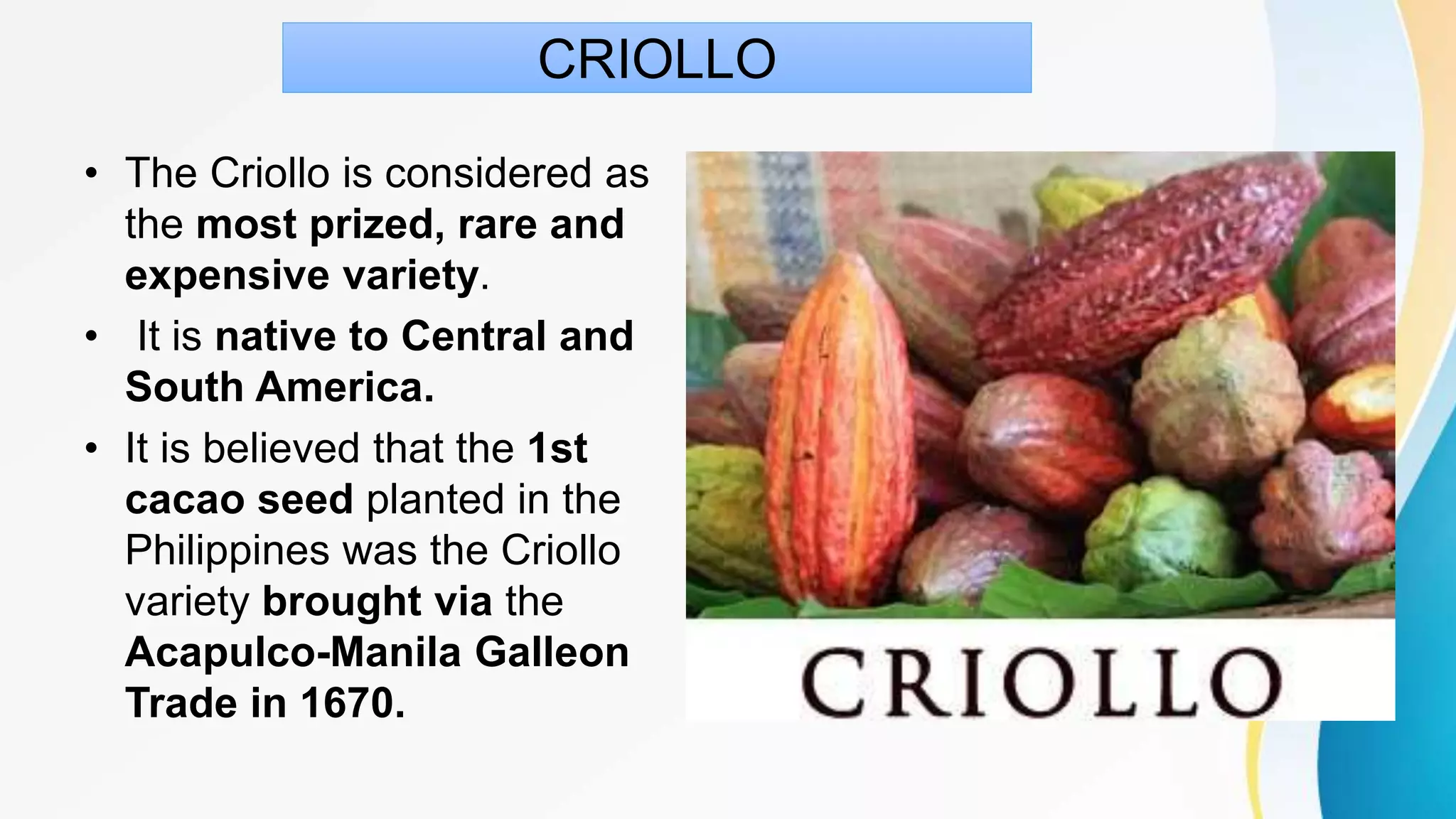 Cacao varieties and its climatic requirements | PPTX