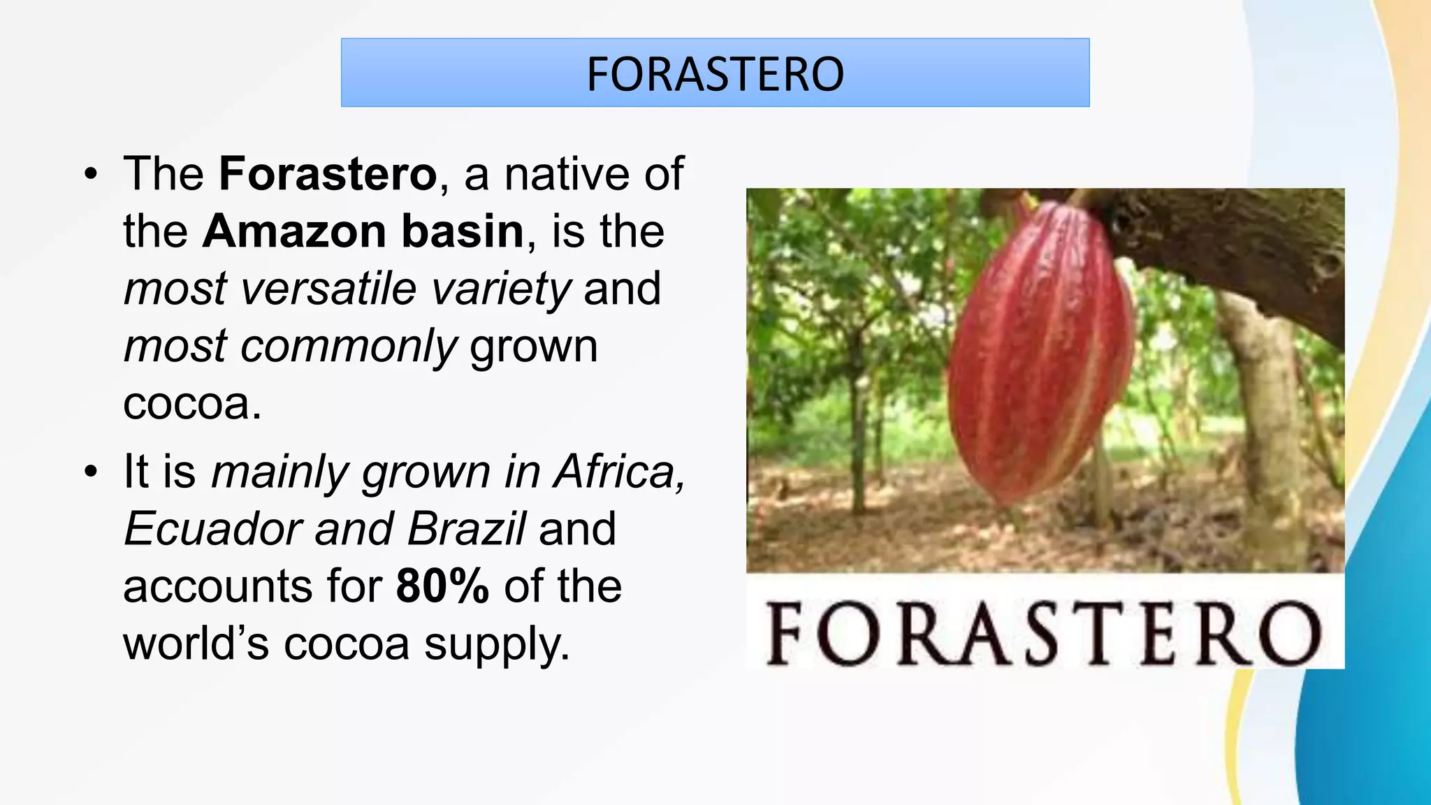 Cacao varieties and its climatic requirements | PPTX