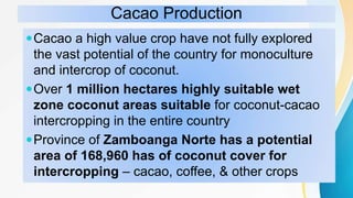 Cacao varieties and its climatic requirements | PPTX