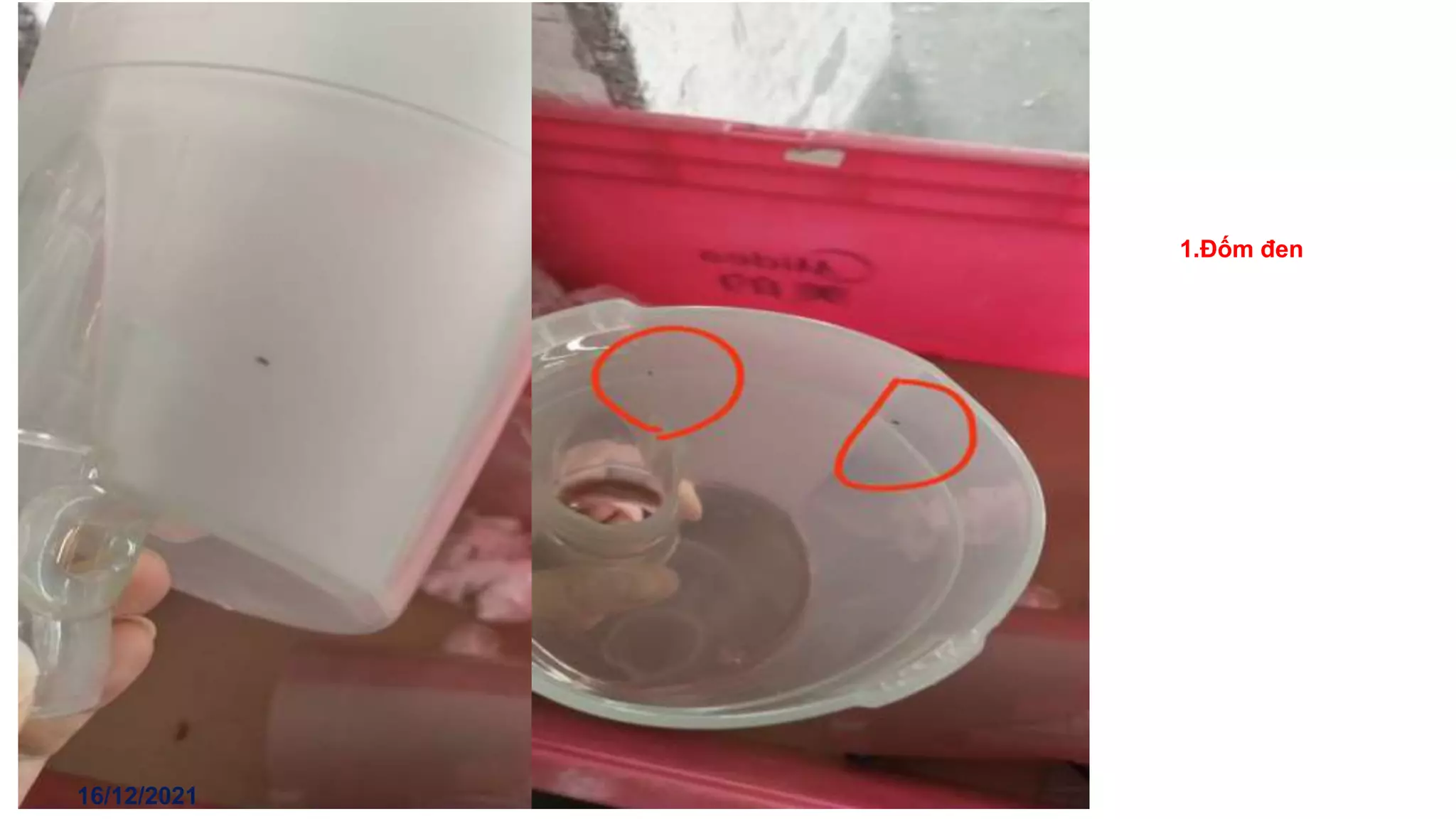 Các dạng khuyết tật thường gặp của các linh kiện ép nhựa.pptx