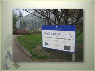 Eco-village Living at Findhorn Foundation | PPT