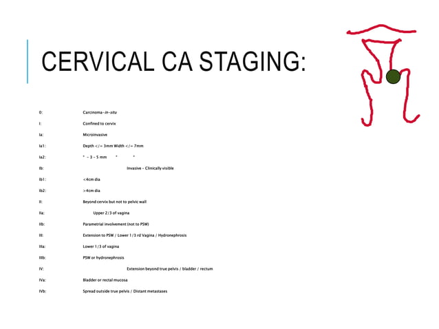 Ca Cervix.ppt | Cancer | Diseases and Conditions