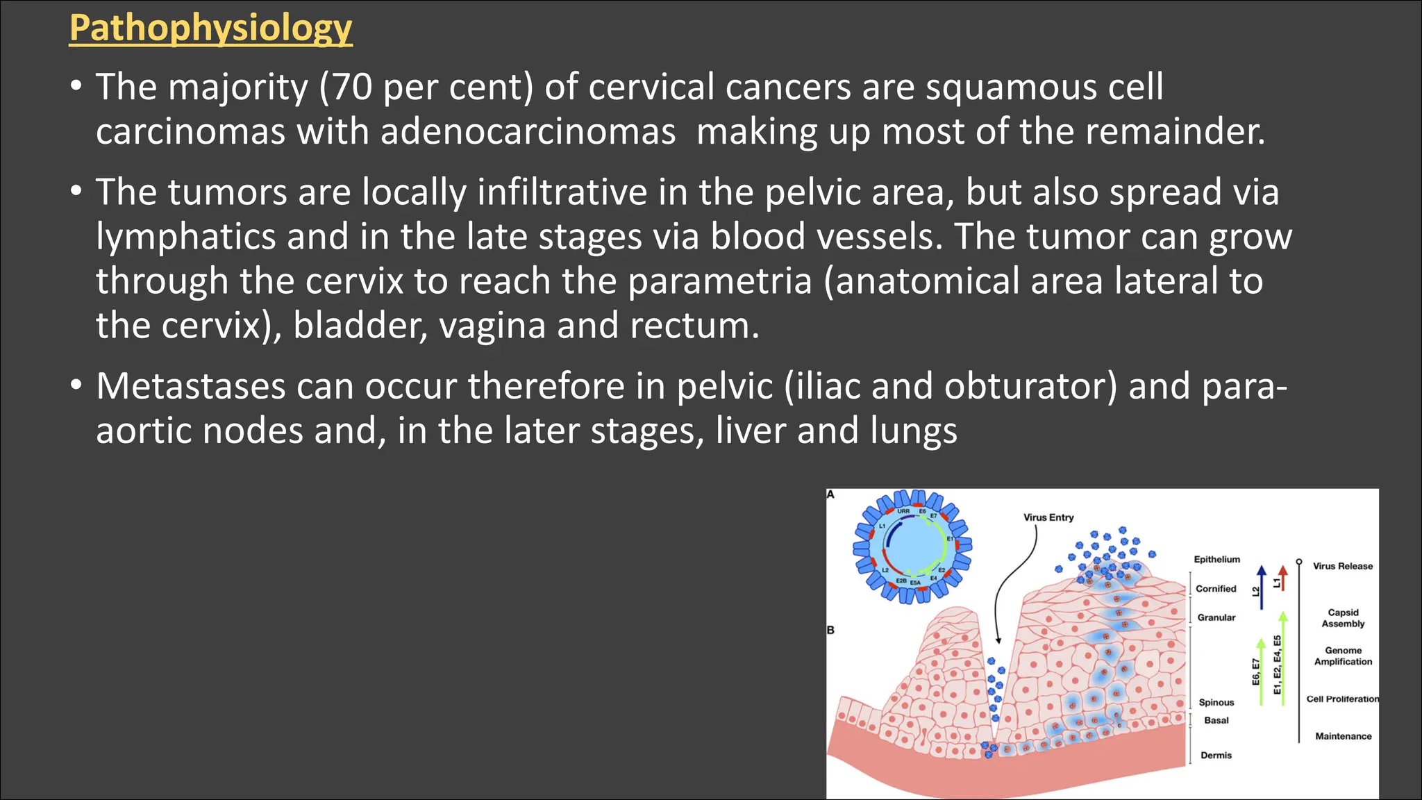 ca cervix.pdf