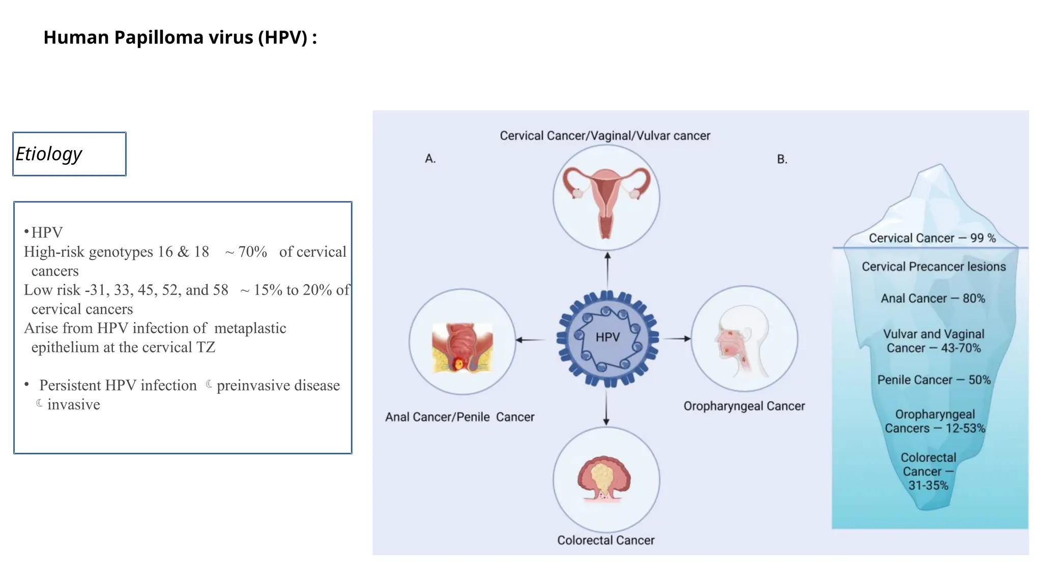 Carcinoma CERVIX - FIGO staging .......Carcinoma cervix Anatomy ...