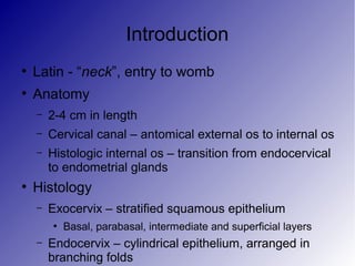 Ca cervix evaluation and staging | PPT