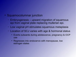 Ca cervix evaluation and staging | PPT