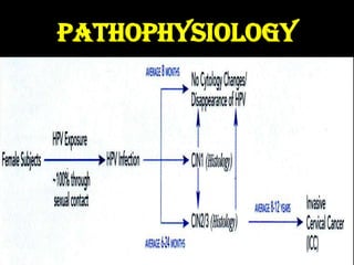 cancer of cervix | PPTX