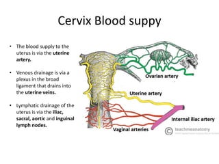 Ca cervix pre managment | PPTX