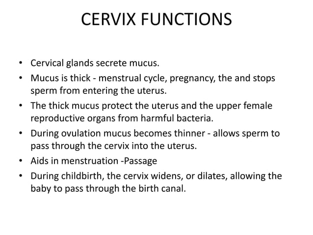Ca cervix pre managment | PPT