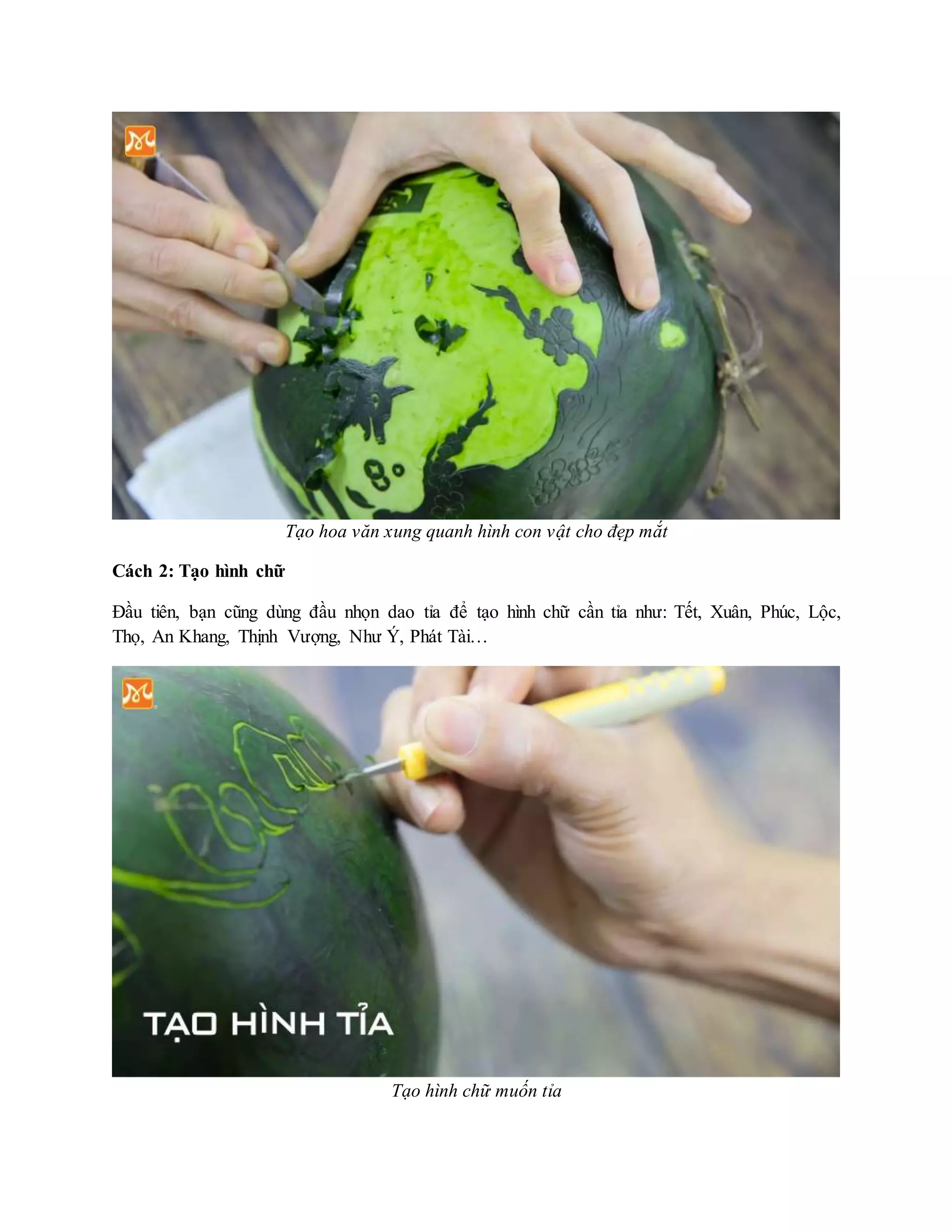 Cach cat tia dua hau | PDF