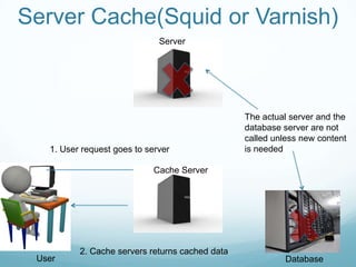 Understanding Web Cache | PPTX | Databases | Computer Software and Applications