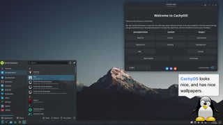CachyOS Linux System introduction. Lets see how it looks? | PPT