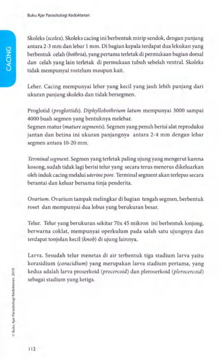 Cacing | PDF