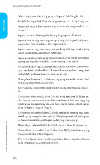 Cacing | PDF
