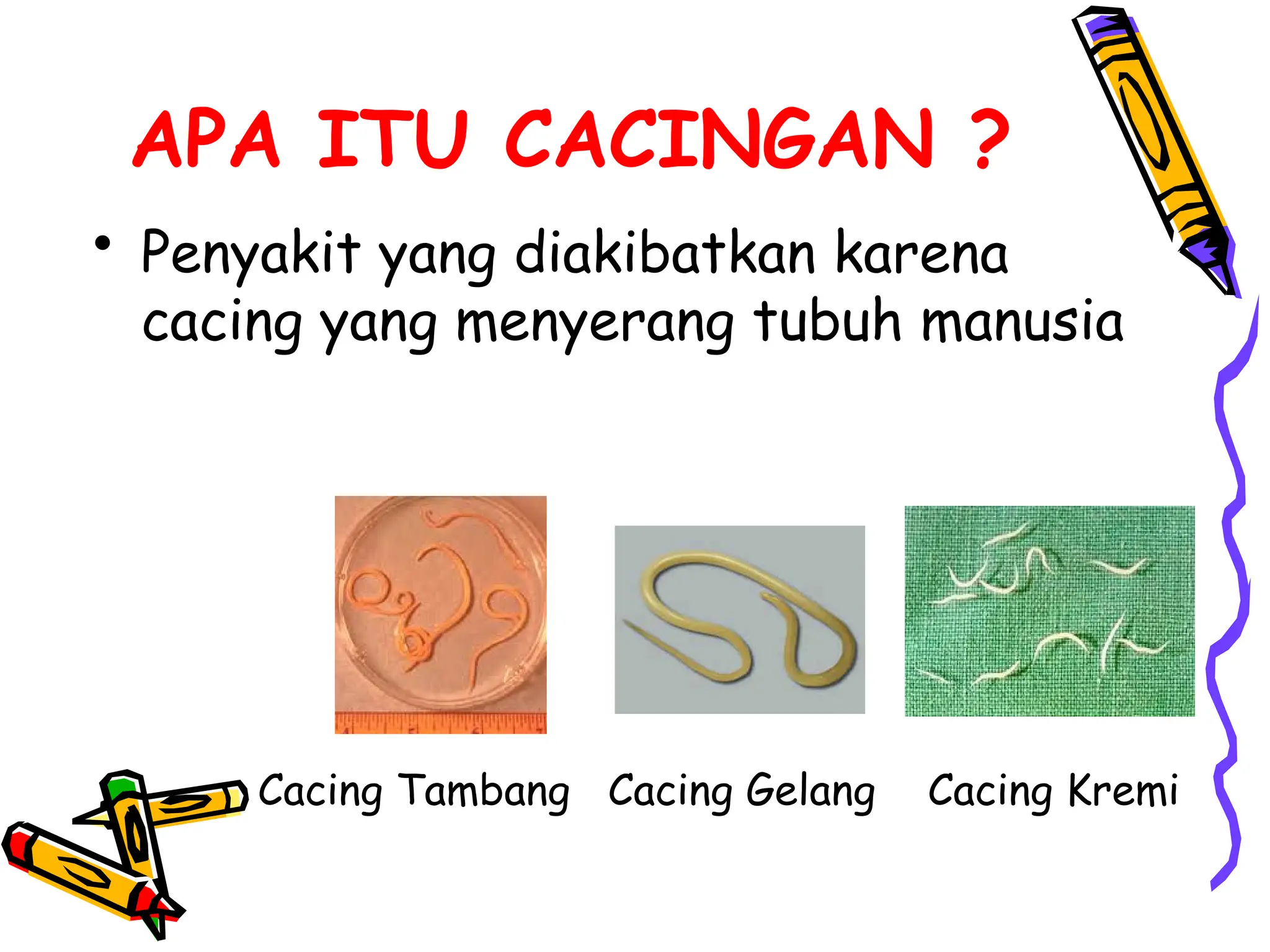 MATERI PEMBERIAN OBAT CACING PADA SISWA DISEKOLAH.pptx