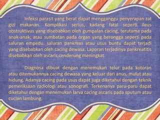 Cacing Gelang | PPTX
