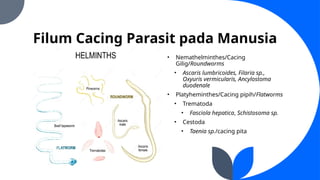 Infeksi Cacing pada Bidang Penyakit Dalam.pptx