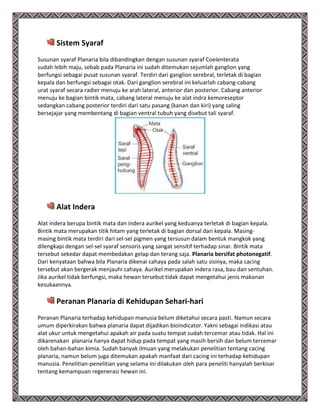 CACING PLANARIA SP | DOCX