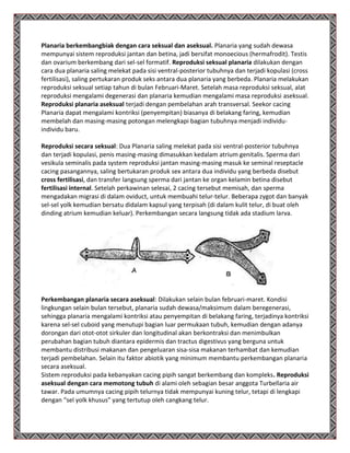 CACING PLANARIA SP | DOCX