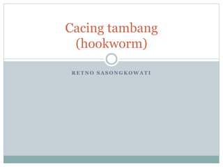 Cacing tambang.pptx