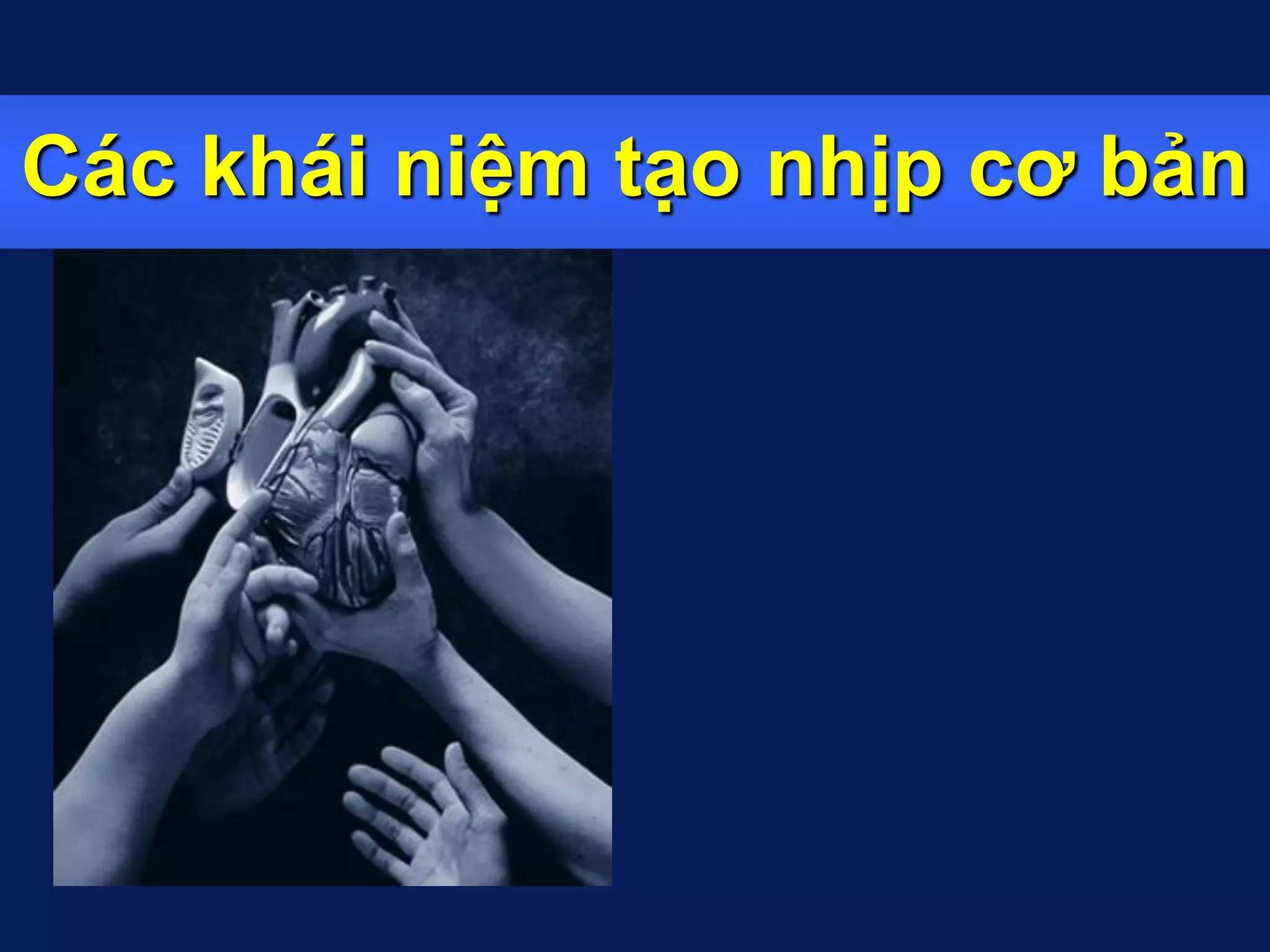 Cac khai niem co ban ve may tao nhip va cach nhan biet dien tam do may ...