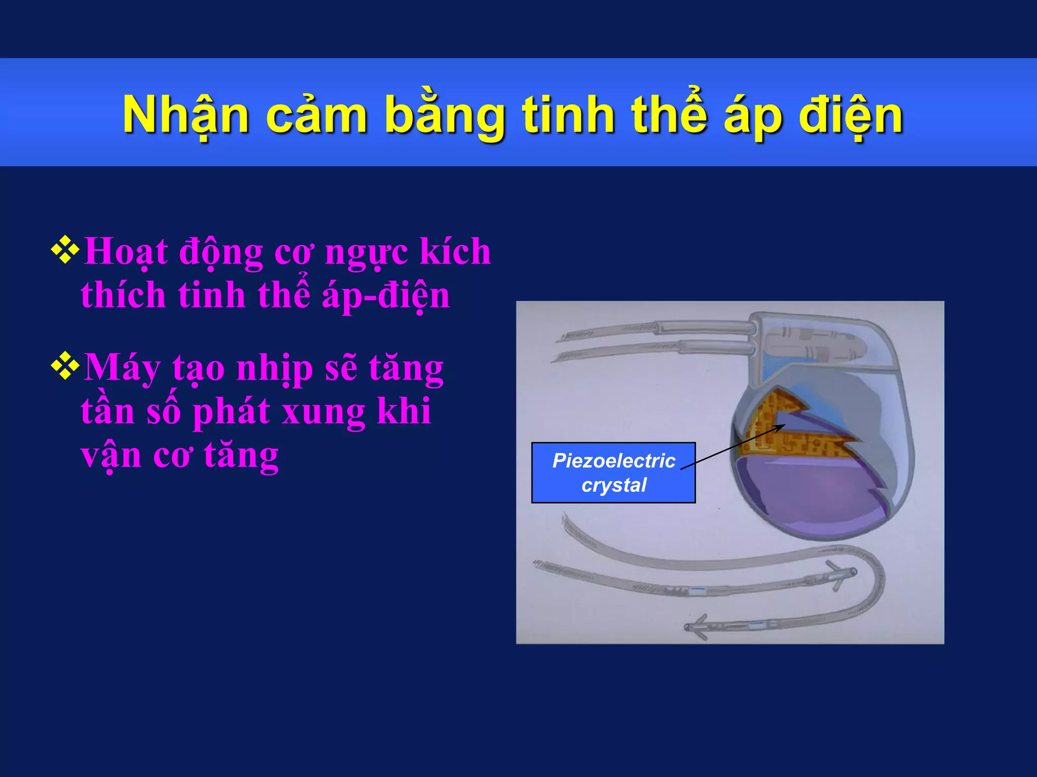 Cac khai niem co ban ve may tao nhip va cach nhan biet dien tam do may ...