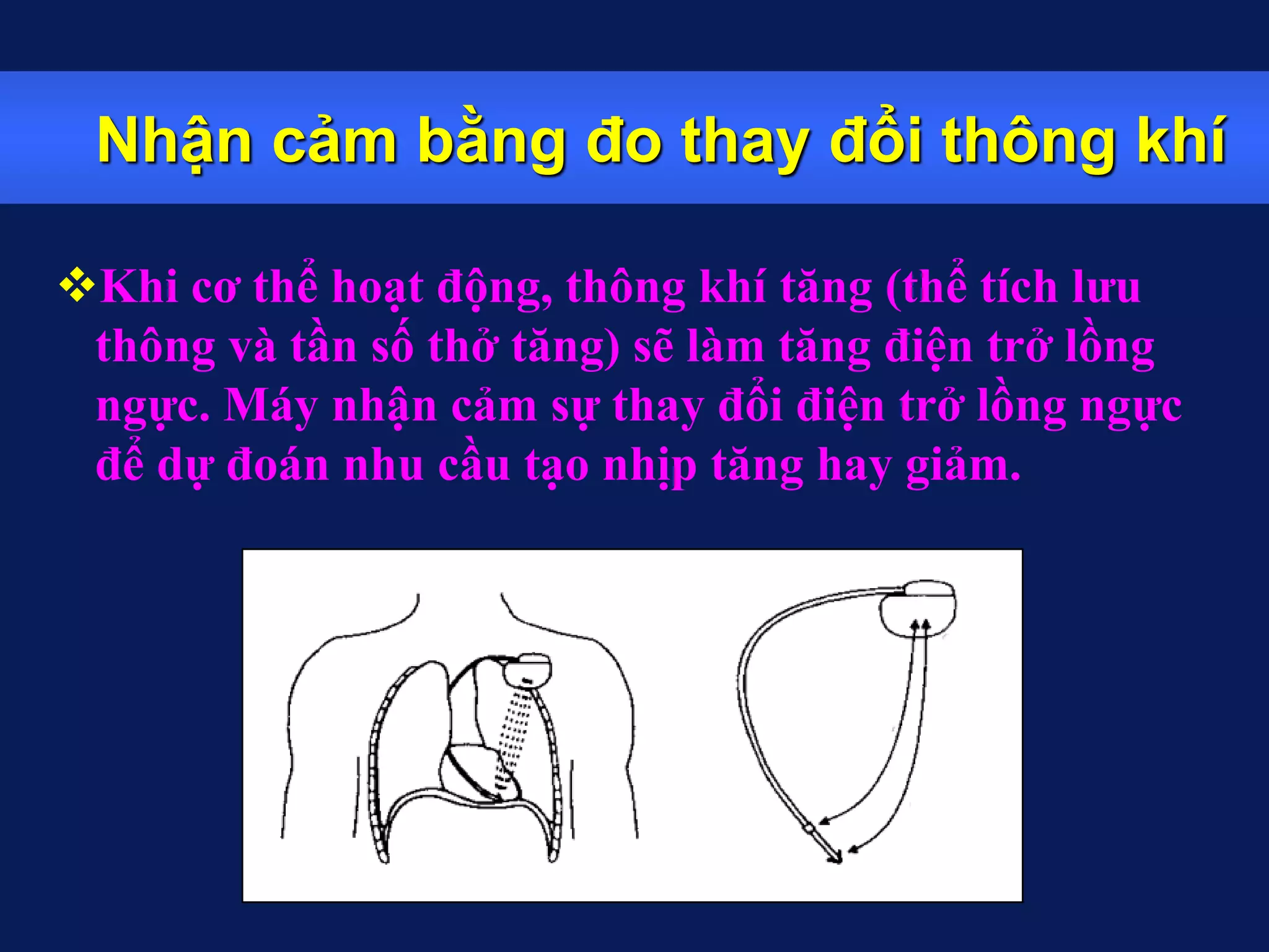 Cac khai niem co ban ve may tao nhip va cach nhan biet dien tam do may ...