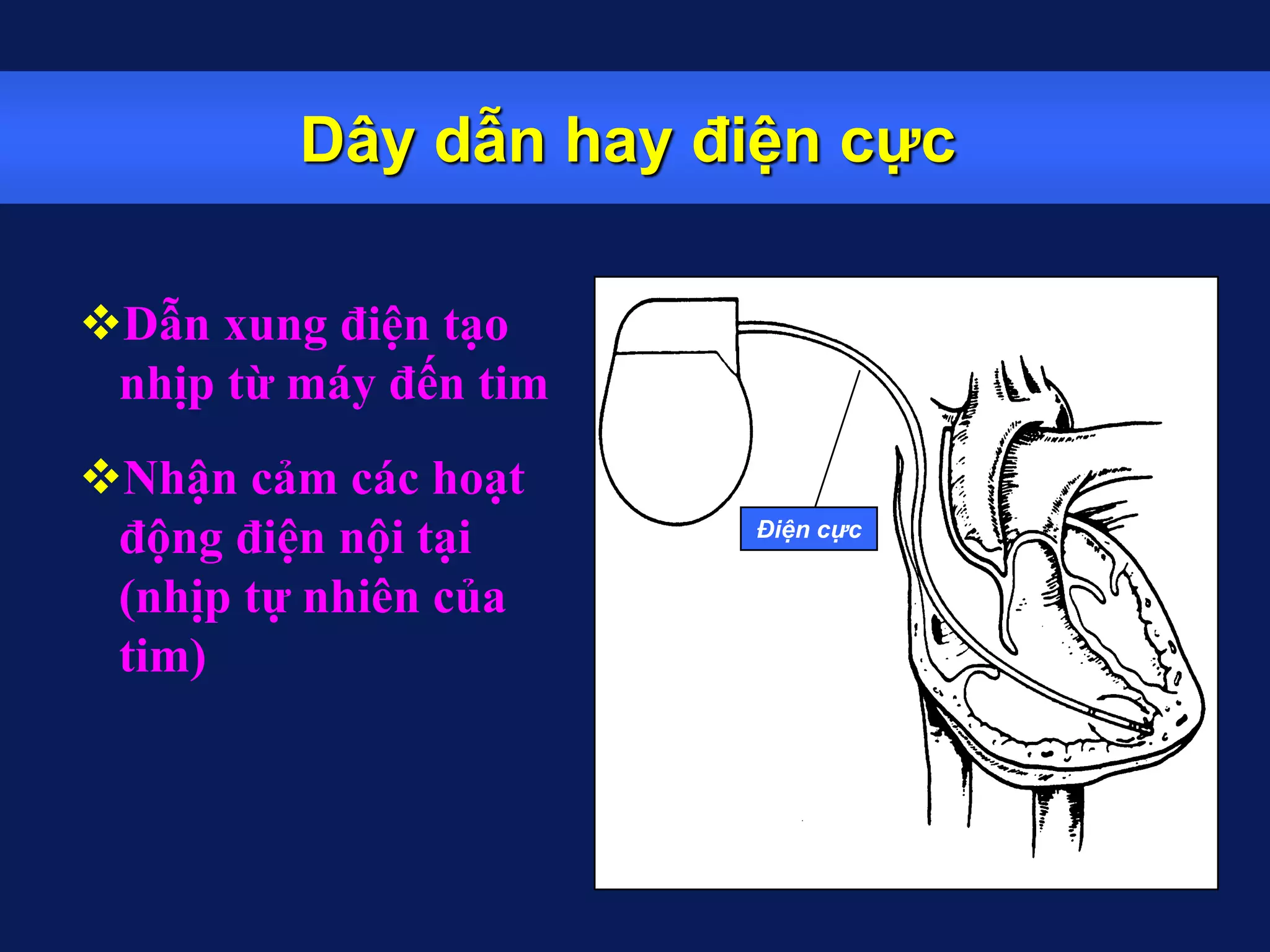 Cac khai niem co ban ve may tao nhip va cach nhan biet dien tam do may ...