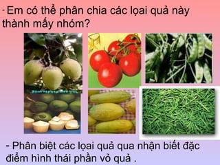 Cac Loai Qua | PPT