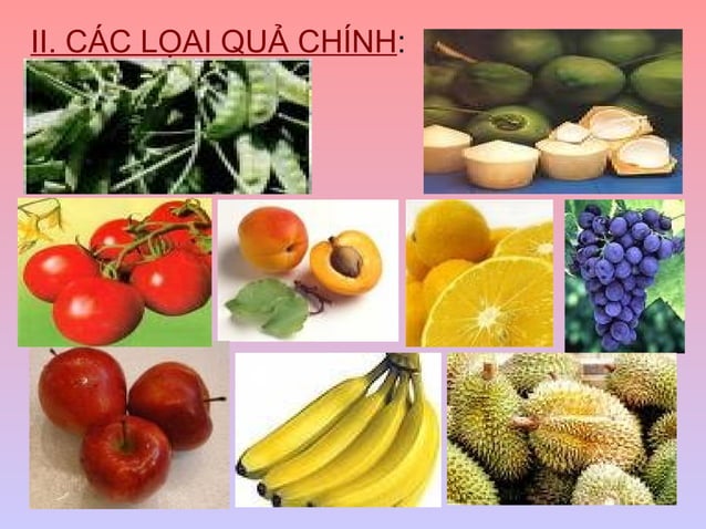 Cac Loai Qua | PPT