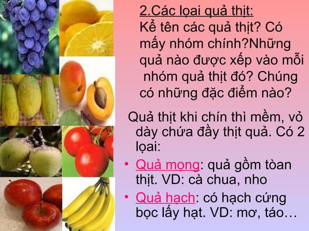 Cac Loai Qua | PPT