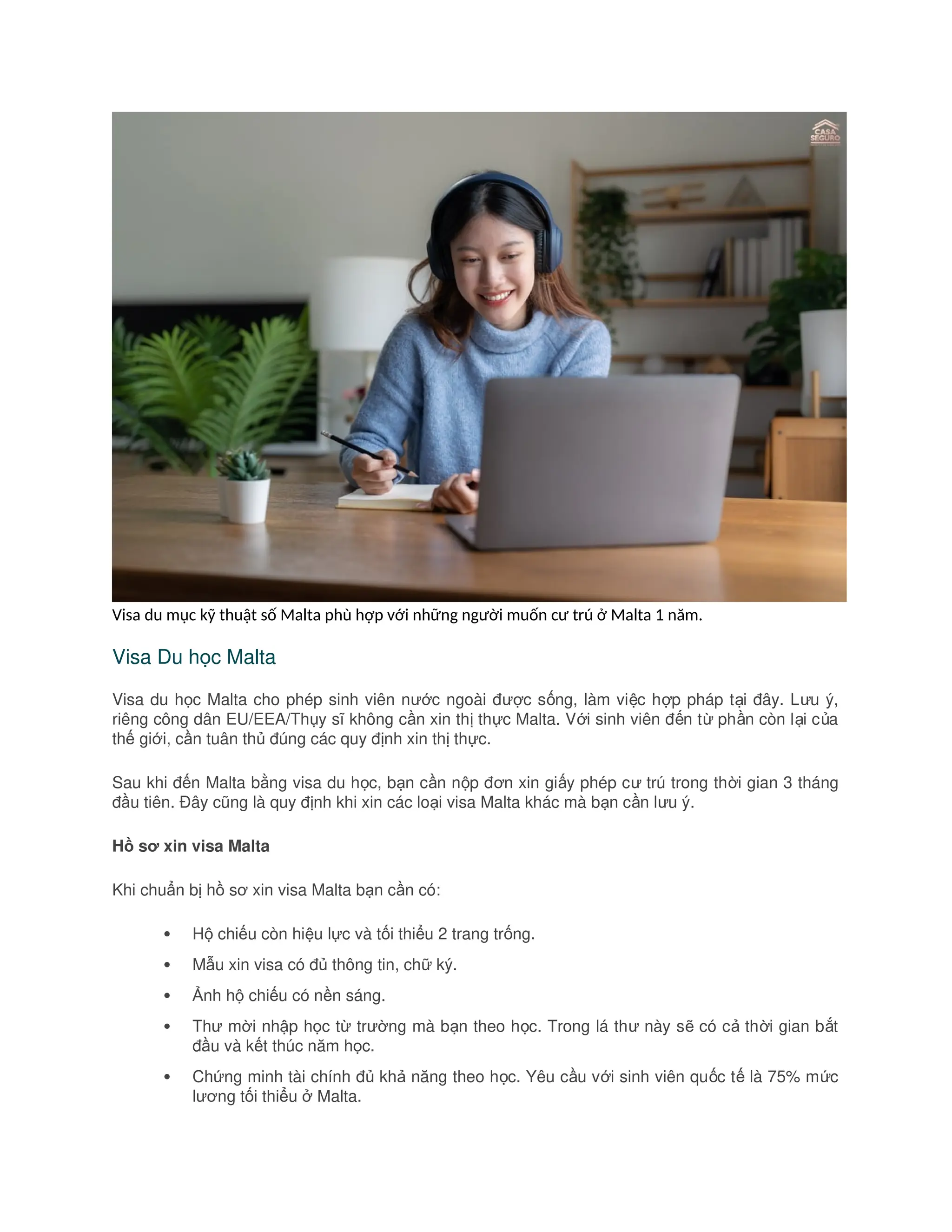 Cac loai visa malta hien nay la gi .docx