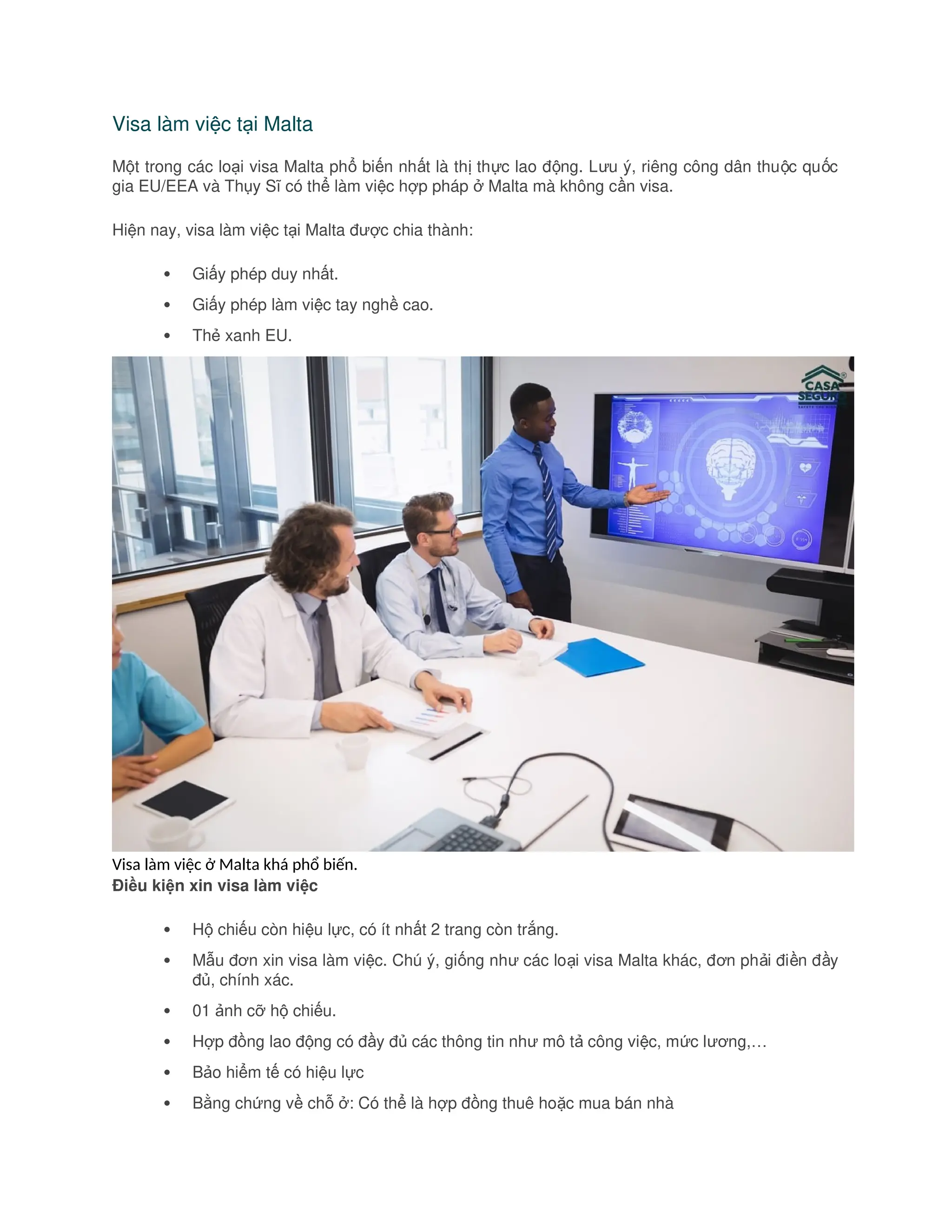 Cac loai visa malta hien nay la gi .docx