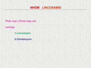 Cac nhom khang sinh | PPT